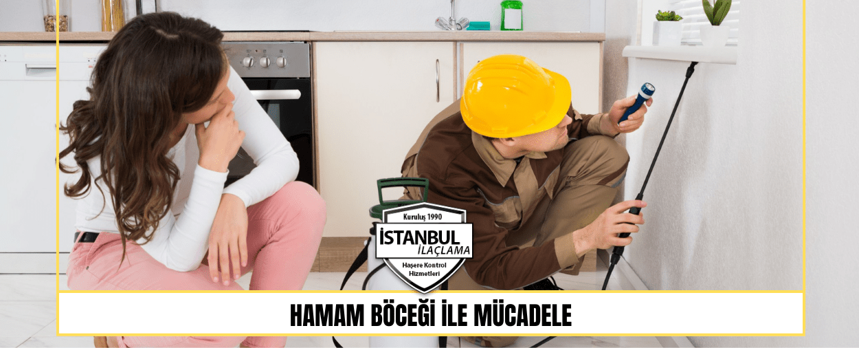 Hamam Böceği