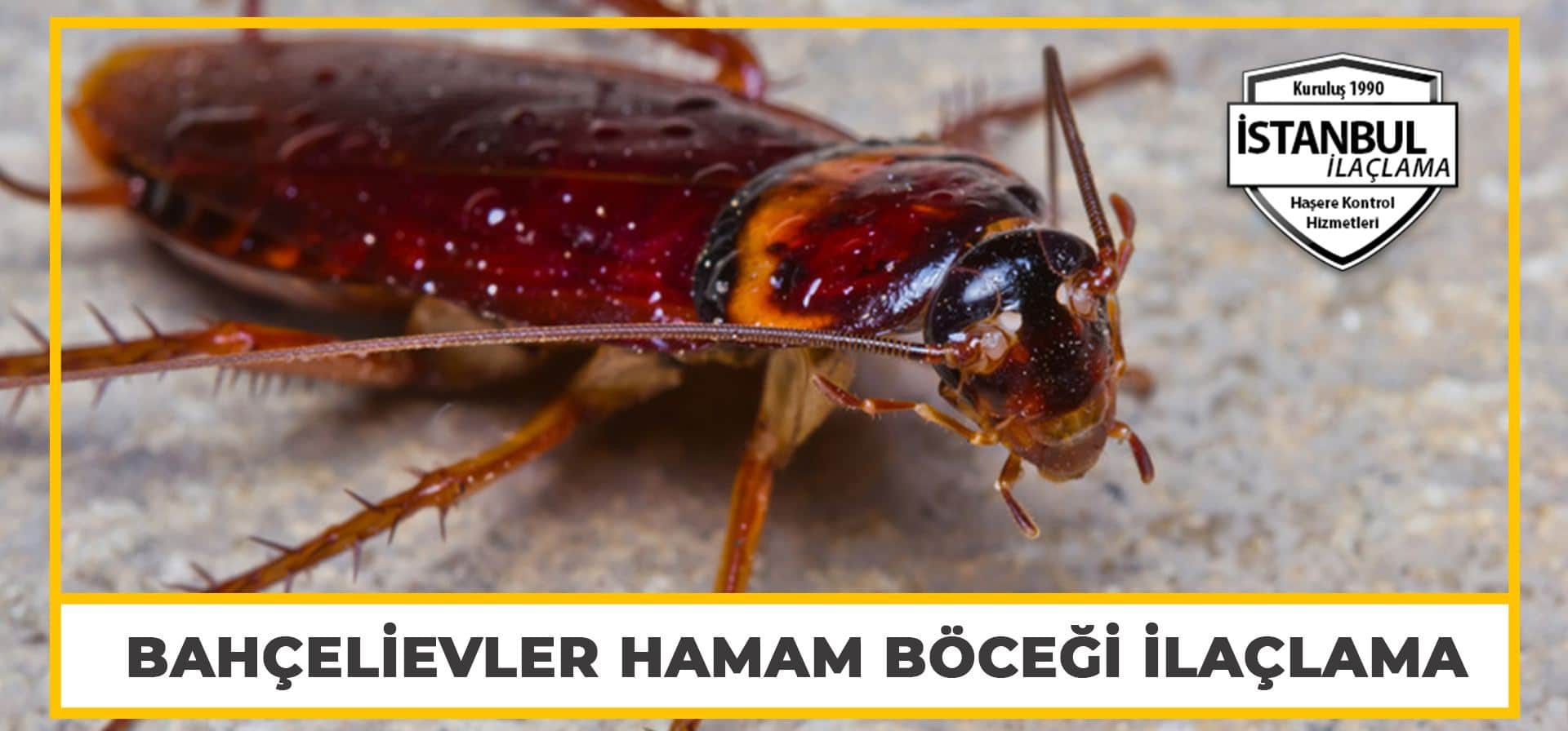 Bahçelievler böcek ilaçlama - Garantili ilaçlama - istanbulilaclama.com