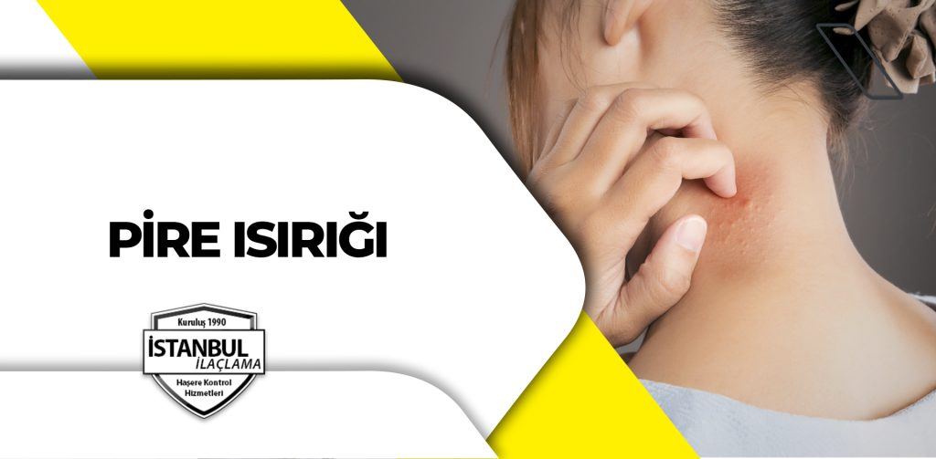 Pire Isırığı ve Görüntüsü - Ne iyi gelir? - istanbulilaclama.com