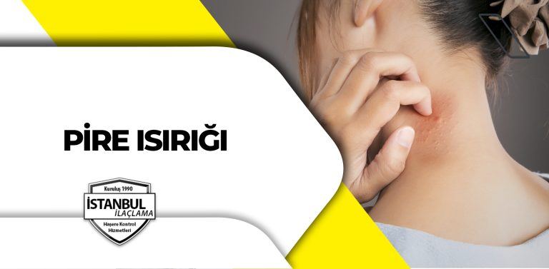 Pire Isırığı ve Görüntüsü - Ne iyi gelir? - istanbulilaclama.com